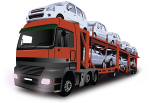 Car Stuffing in Container - Burhani Oasis Shipping LLC